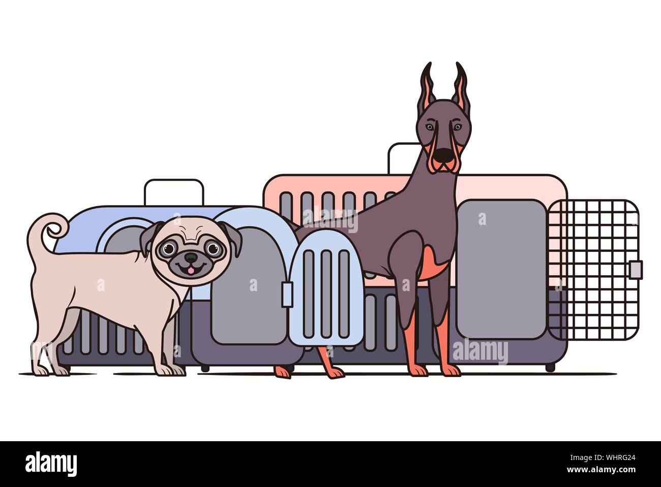 dogs and pet transport boxes on white background Stock Vector Image ...