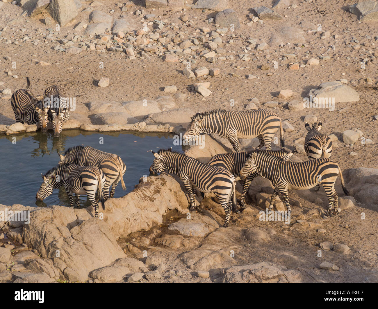 Water hole africa hi-res stock photography and images - Alamy