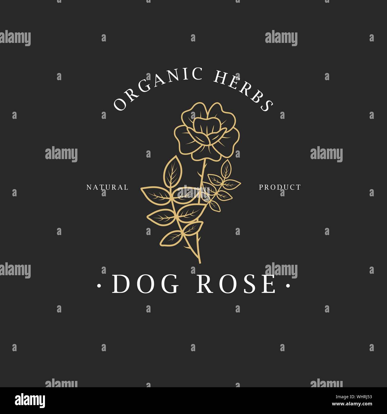 Dog boutique logo hi-res stock photography and images - Alamy