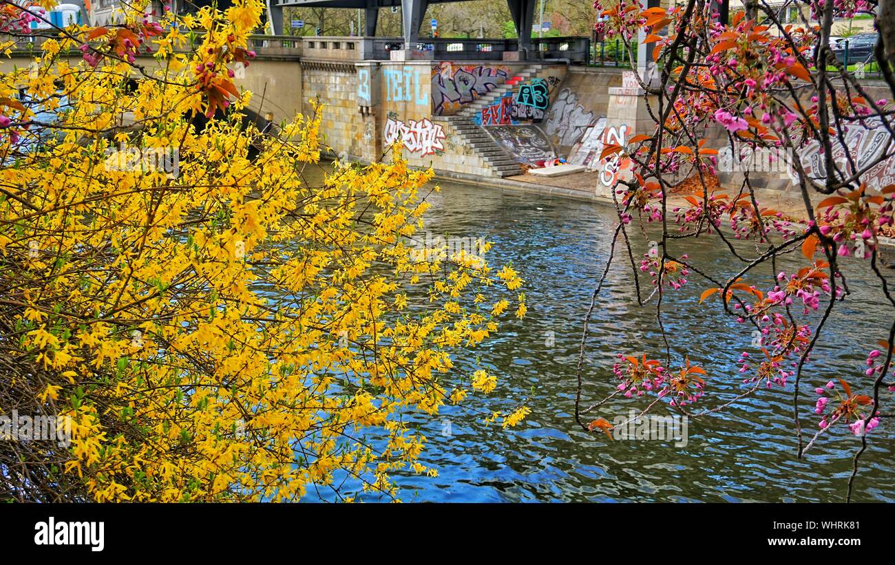 Flowering river hi-res stock photography and images - Alamy