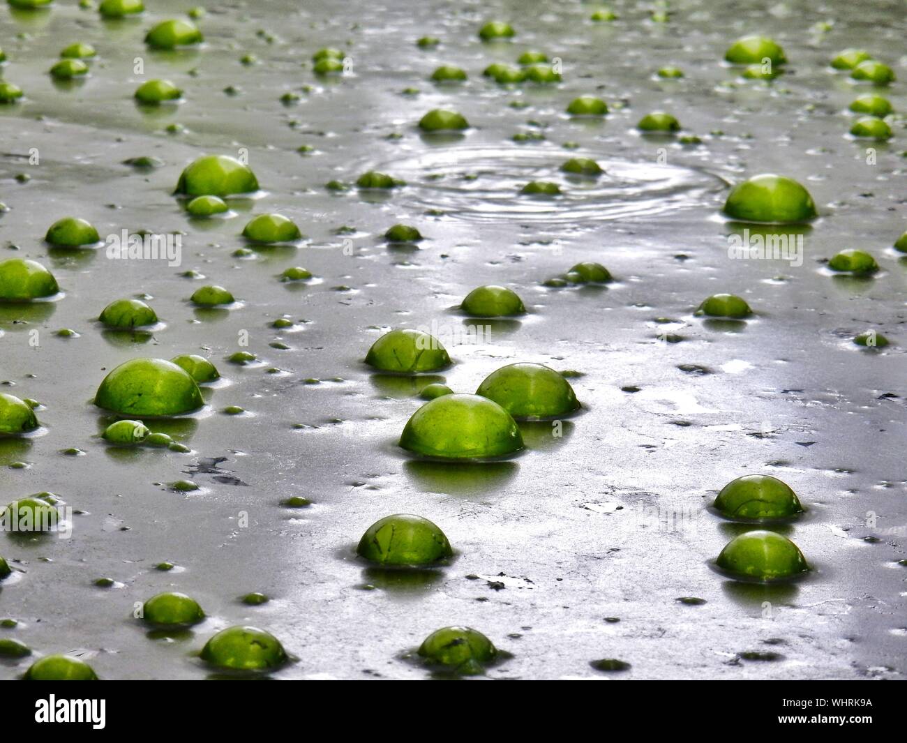 Green and bubbles hi-res stock photography and images - Alamy