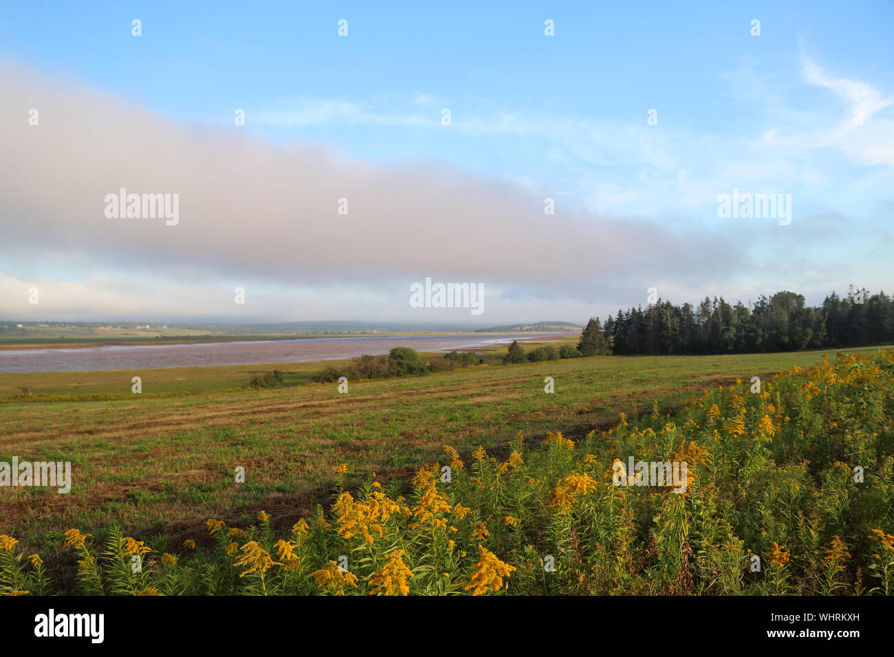 Salt water river runs through rural marsh lands Stock Photo - Alamy