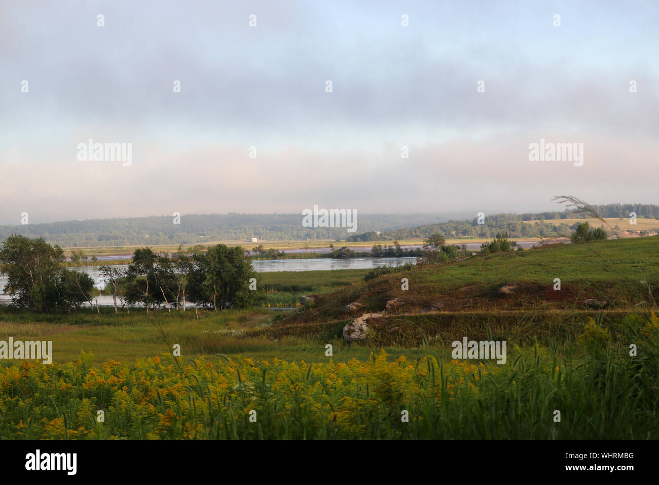 Marsh lands hi-res stock photography and images - Alamy