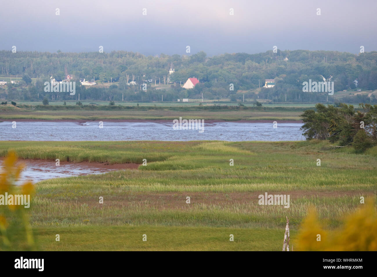 Marsh lands hi-res stock photography and images - Alamy