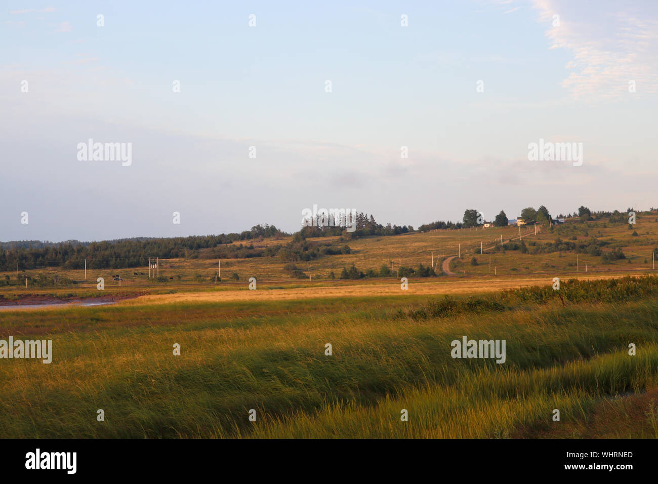 Flat meadow country landscape with farming land Stock Photo - Alamy