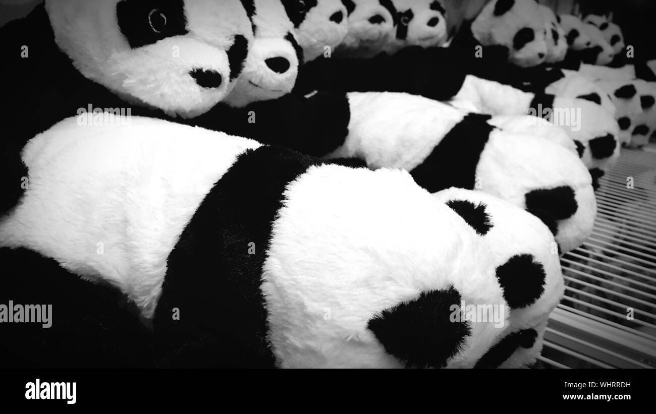 Panda toy shop hi-res stock photography and images - Alamy