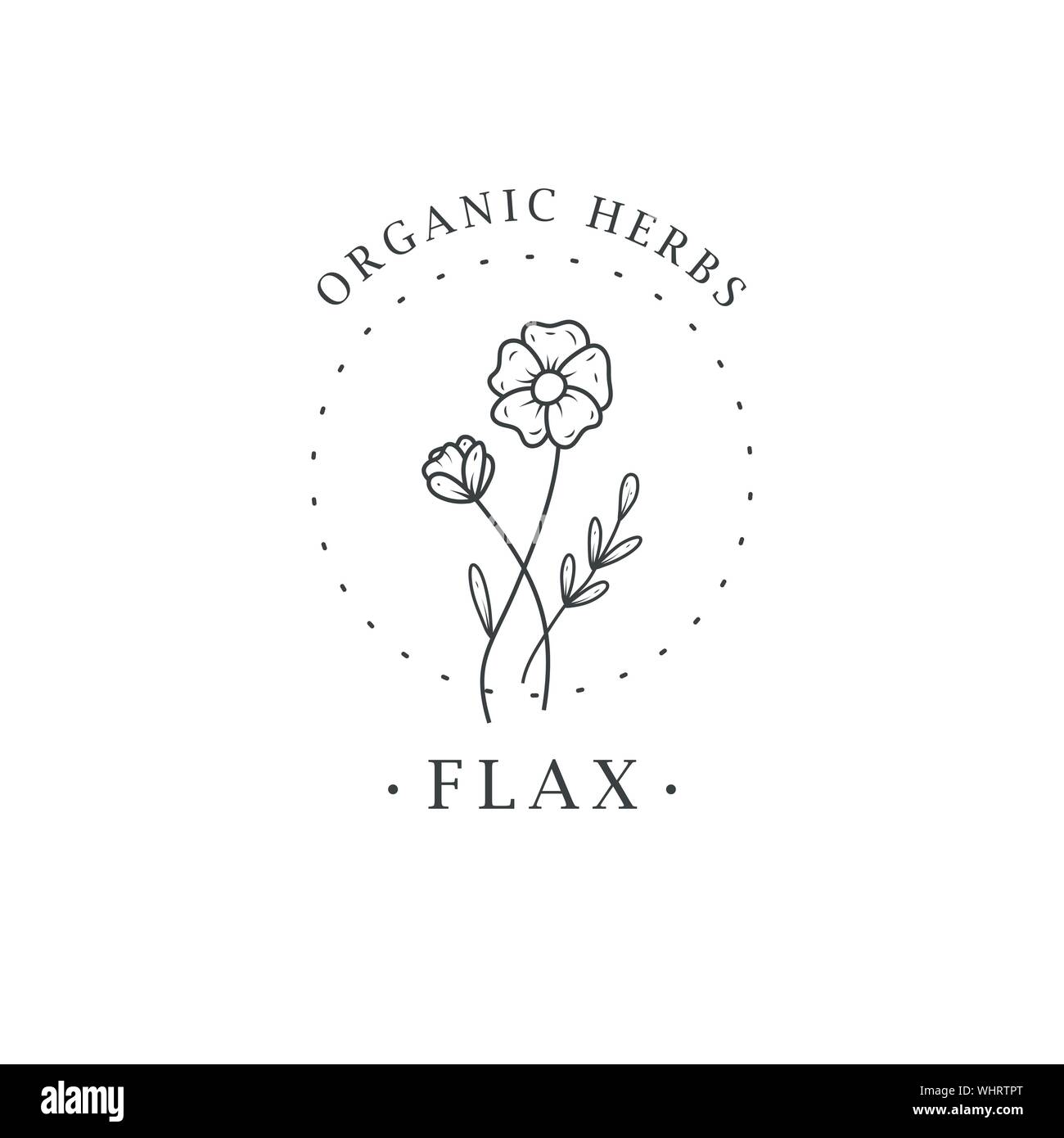 Flax logo hi-res stock photography and images - Alamy