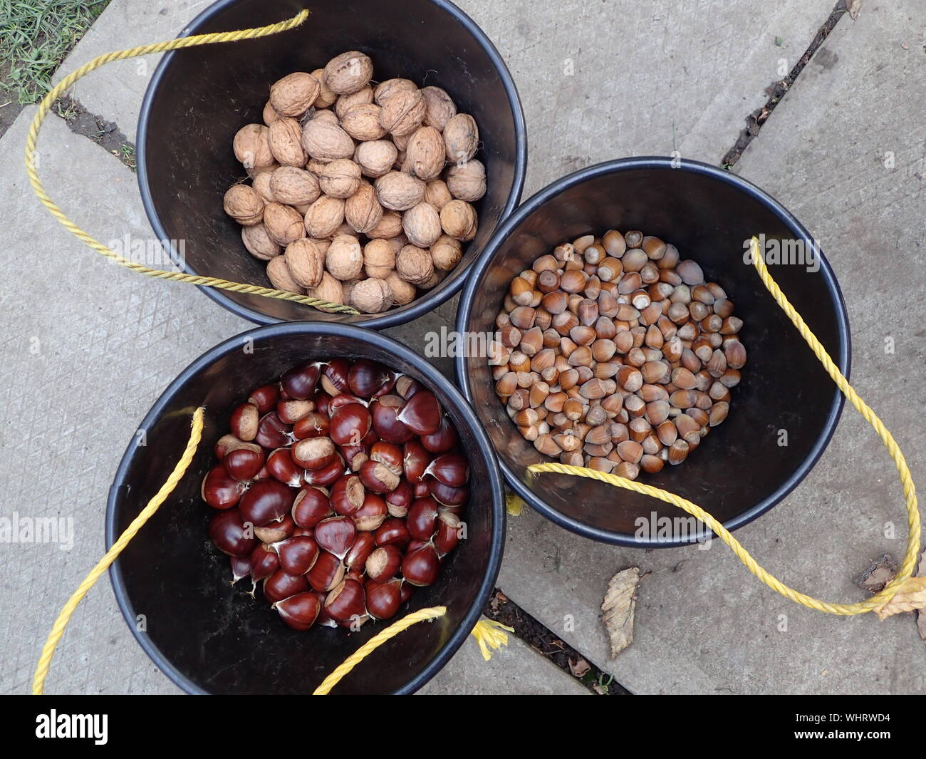 Of various nuts hi-res stock photography and images - Alamy