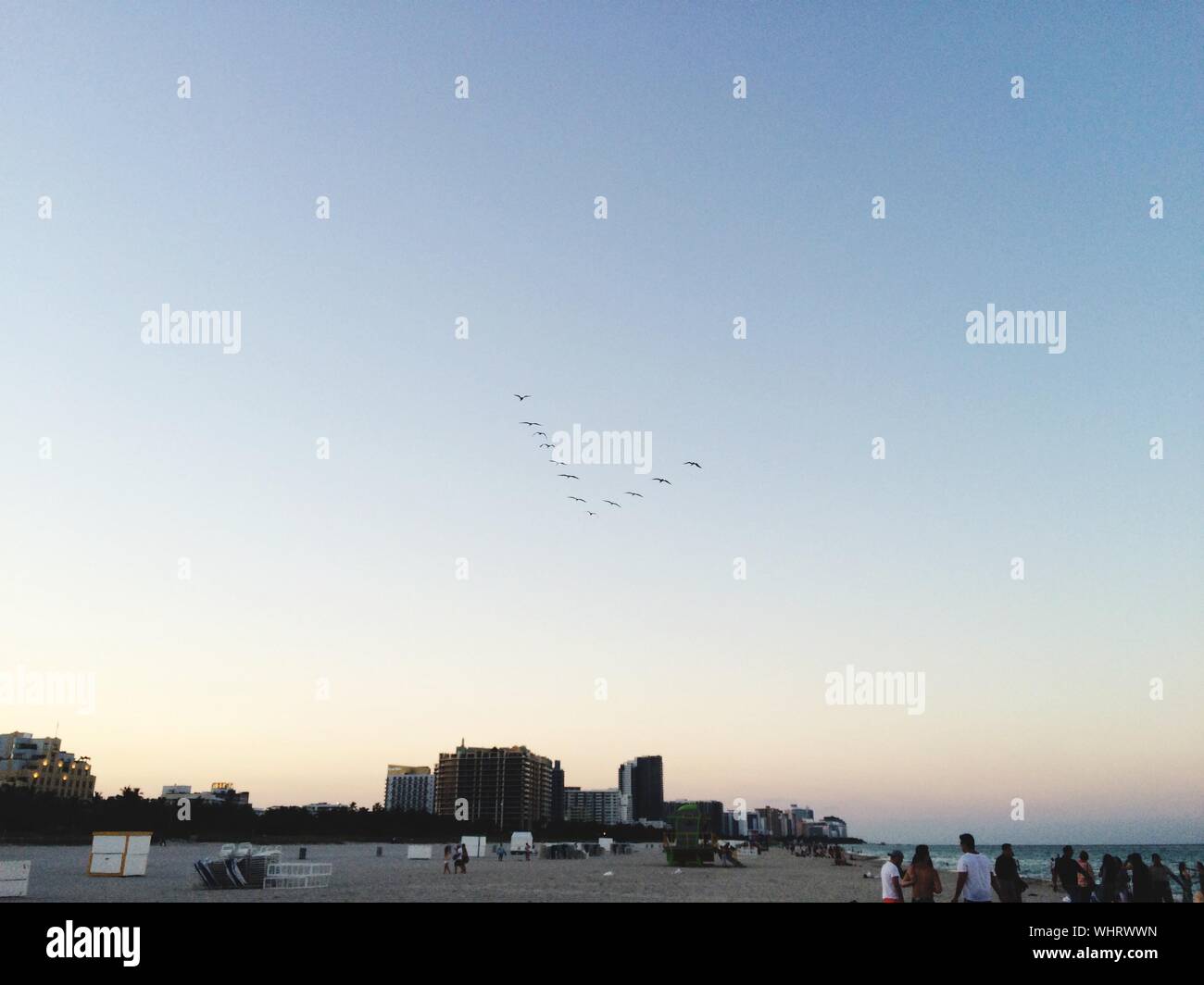 Birds Flying V Shape High Resolution Stock Photography and Images - Alamy