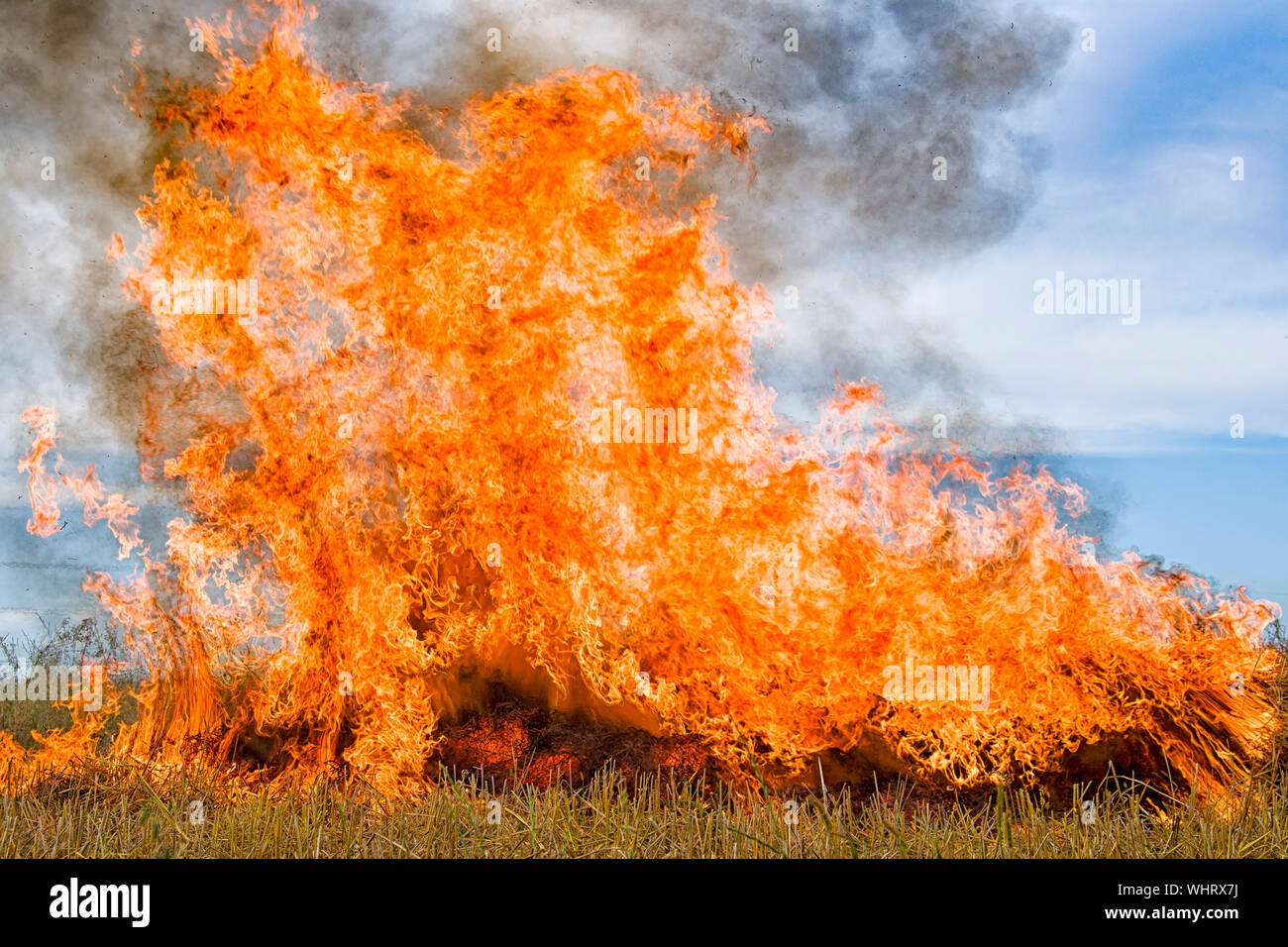 Burning straw stubble farmers when the harvest is complete Stock Photo ...