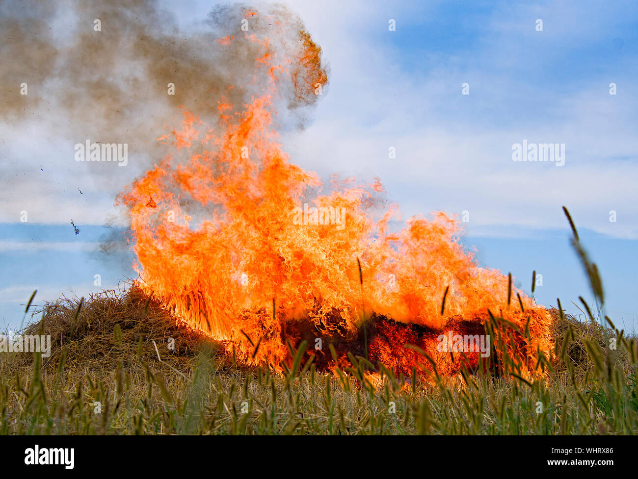 Burning straw stubble farmers when the harvest is complete Stock Photo ...