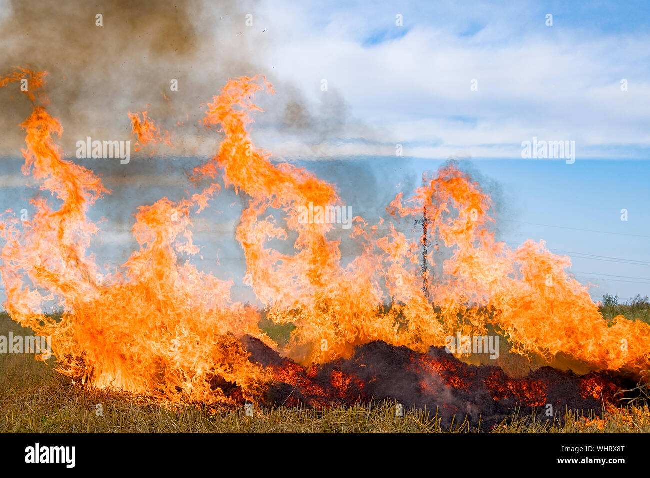 Burning straw stubble farmers when the harvest is complete Stock Photo ...