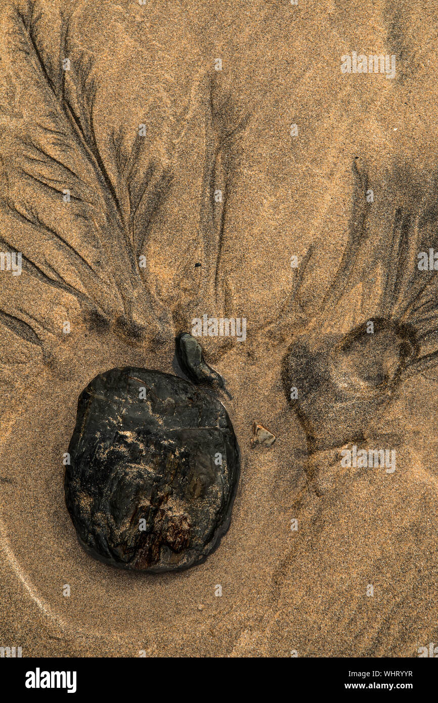 Wet black stone hi-res stock photography and images - Alamy