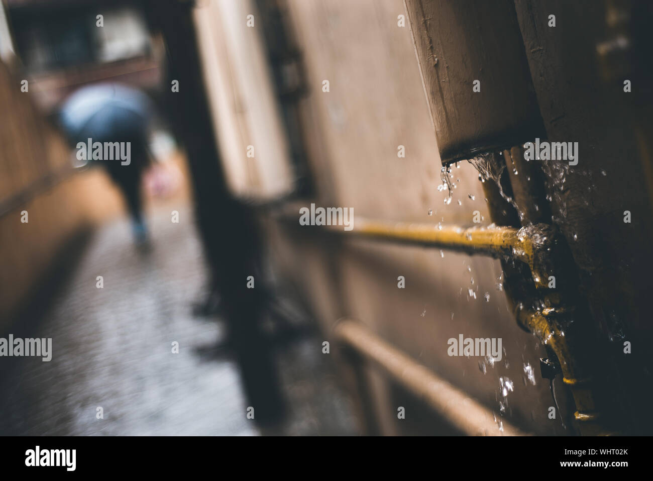 Walking from water hi-res stock photography and images - Alamy