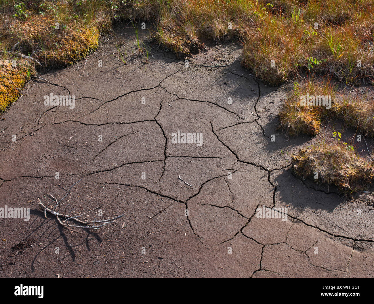 Dried pond hi-res stock photography and images - Alamy