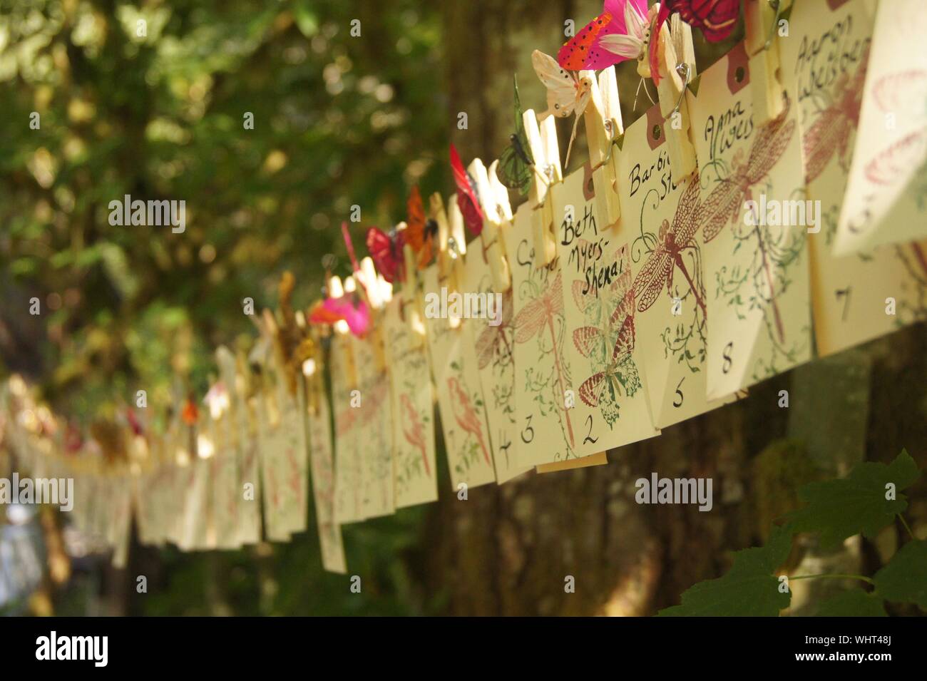 From clothespins hi-res stock photography and images - Alamy