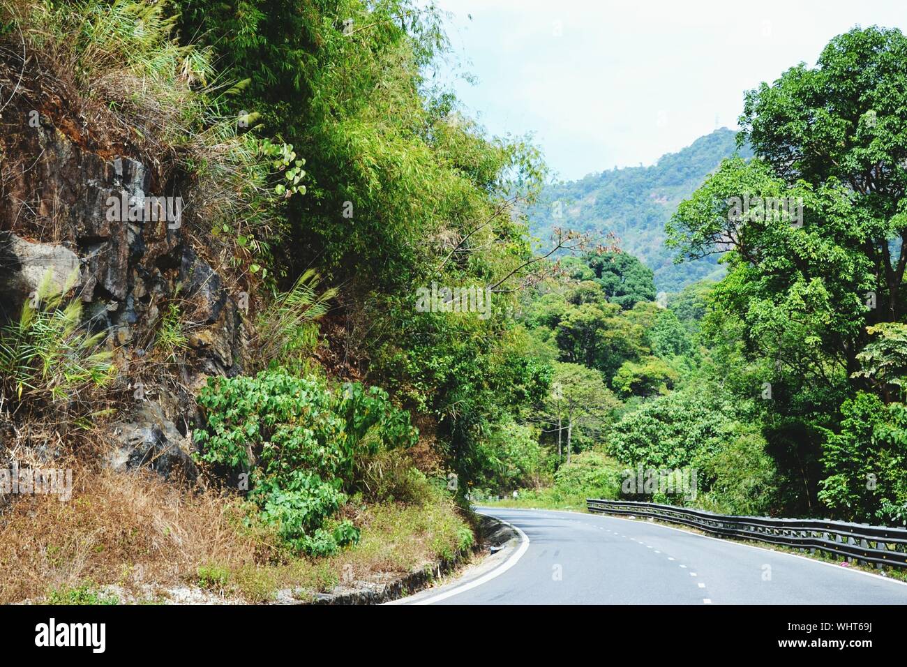 Country Road Amidst Trees Stock Photo - Alamy Country Road Amidst Trees Stock Photo - Alamy