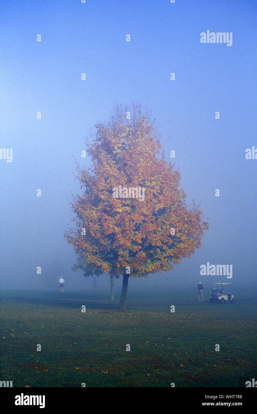 Foggy golf course hi-res stock photography and images - Alamy