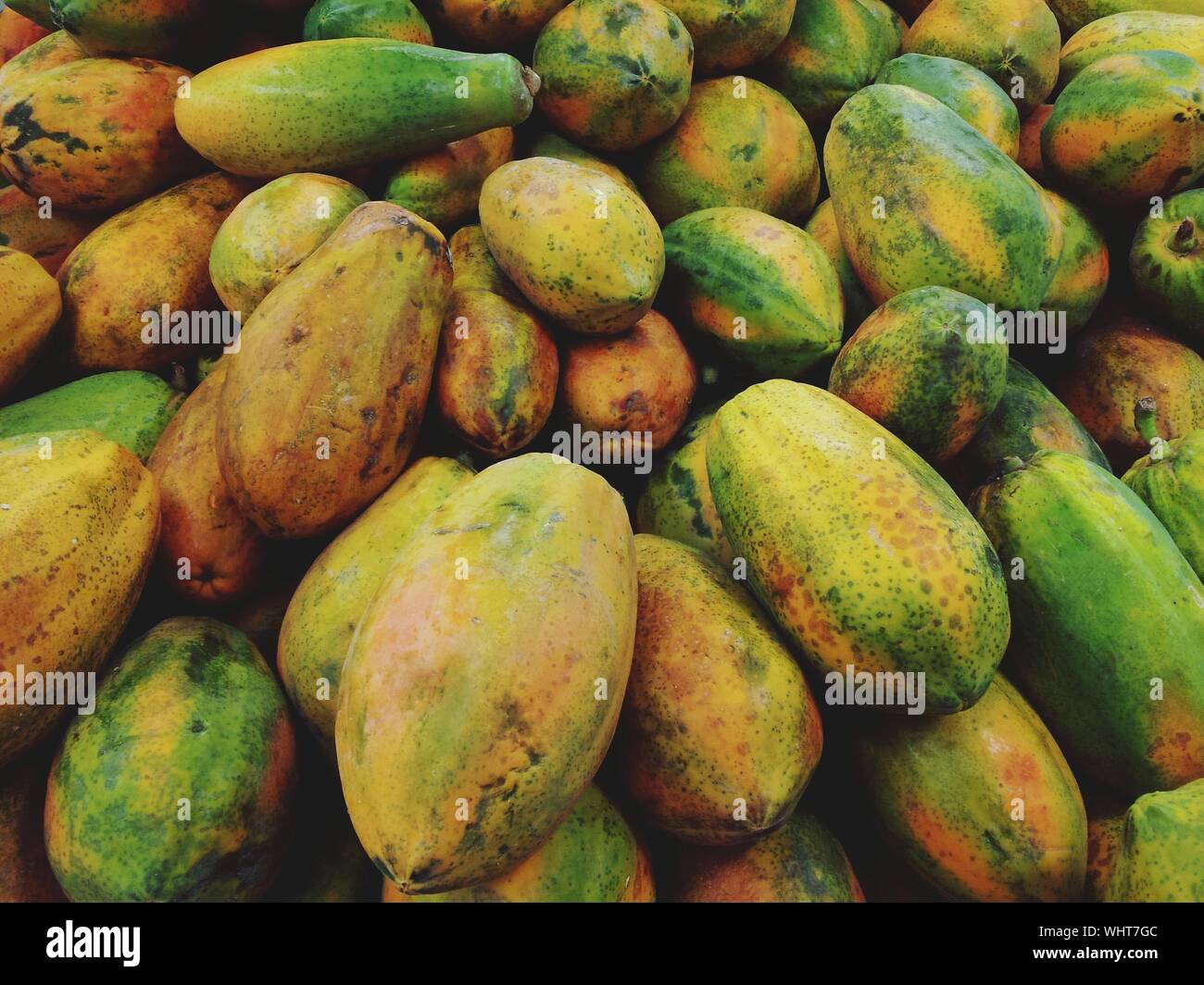 Large papaya hi-res stock photography and images - Alamy