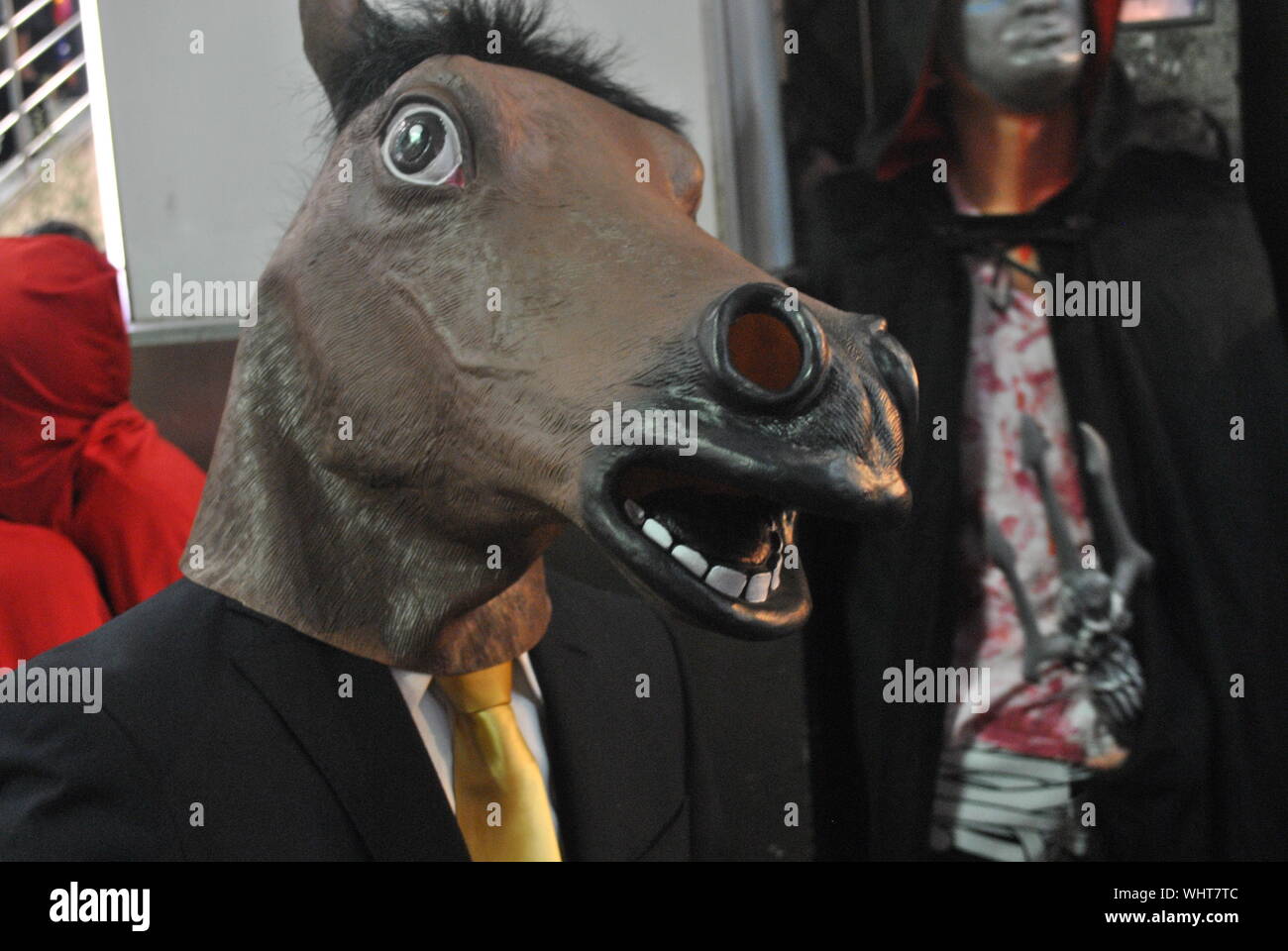 Horse wearing costume hi-res stock photography and images - Alamy