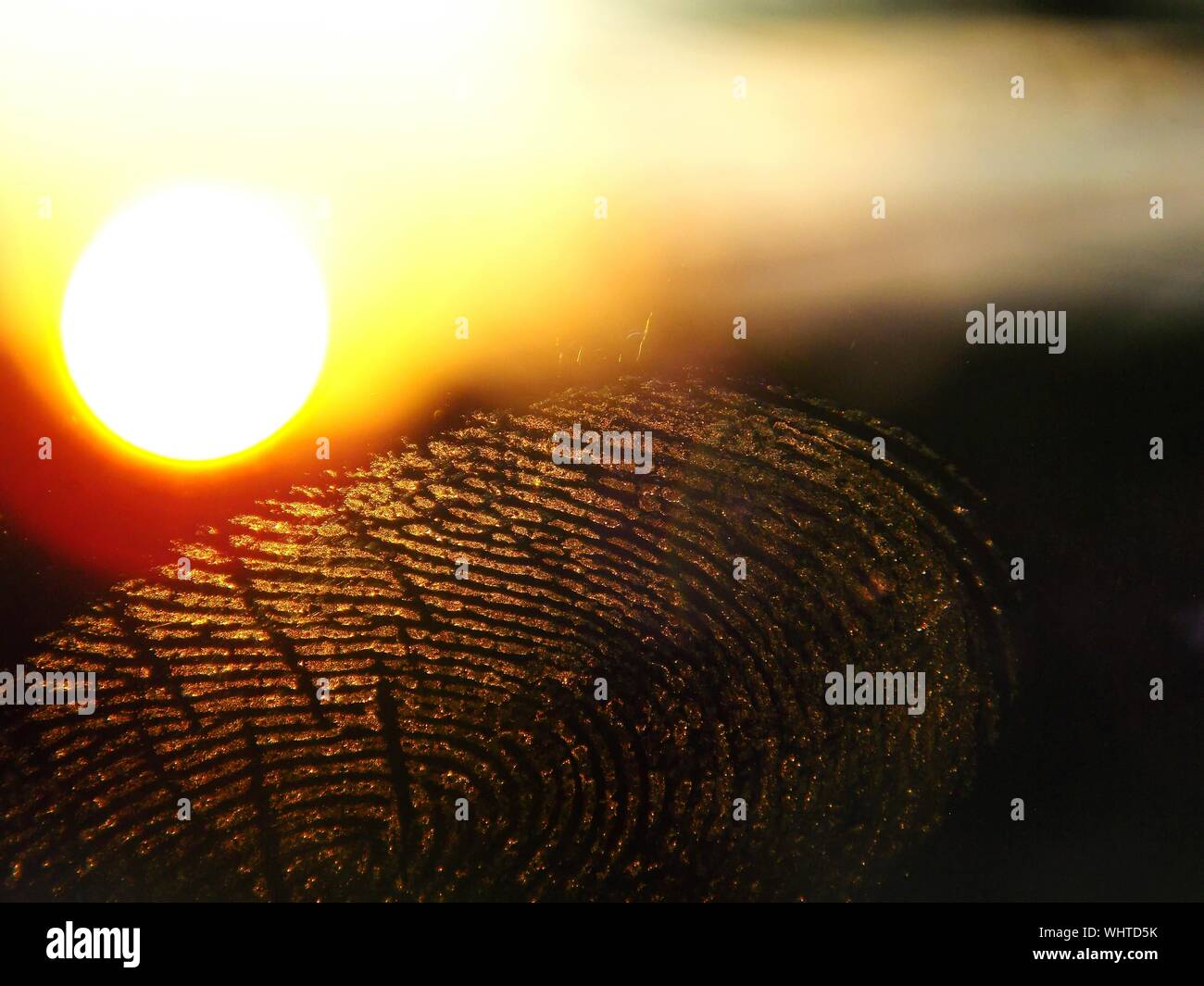 Fingerprint On Glass High Resolution Stock Photography and Images - Alamy