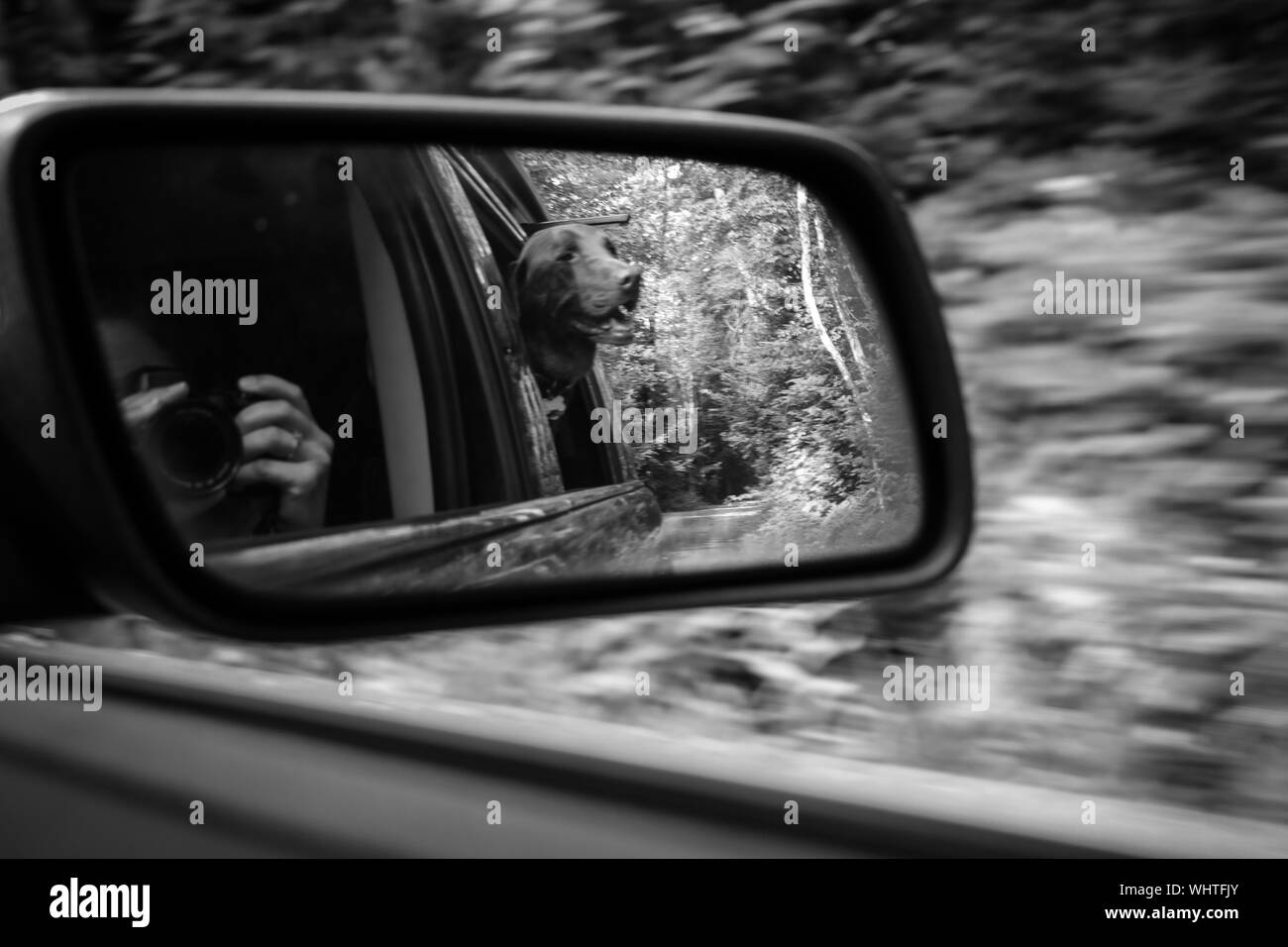 Car close up view Black and White Stock Photos & Images - Alamy