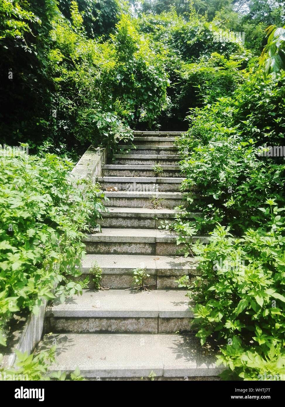 Stone Made Stairs High Resolution Stock Photography and Images - Alamy