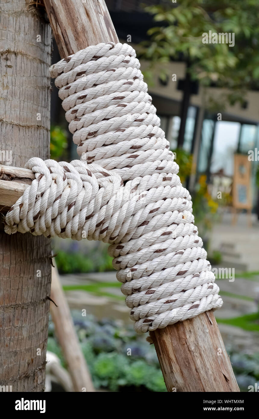 Rope Ladder Tree High Resolution Stock Photography and Images - Alamy