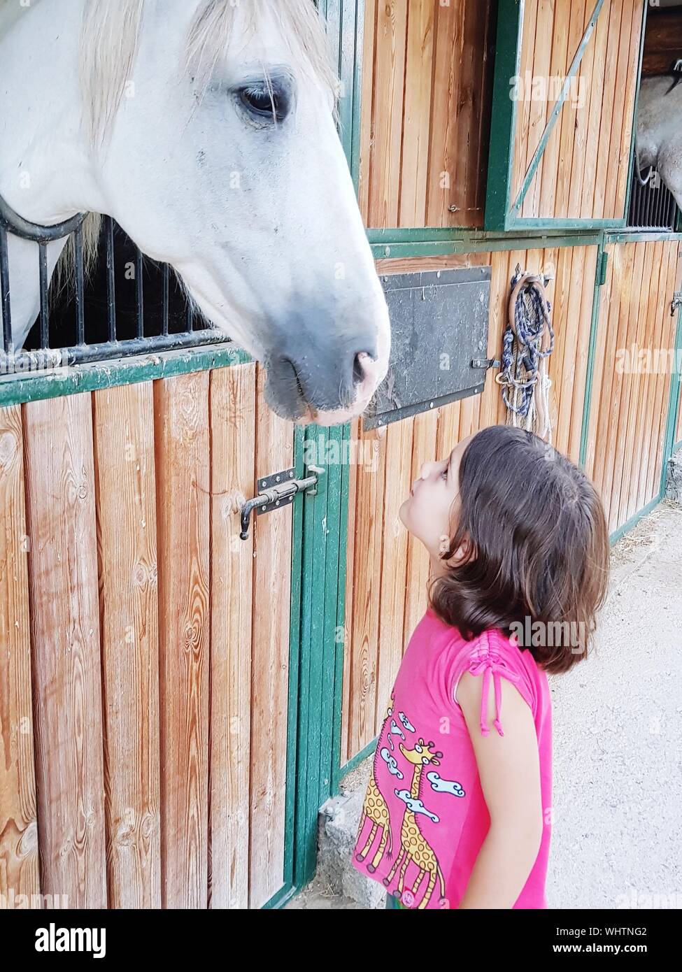 Girl and horse stable hi-res stock photography and images - Alamy
