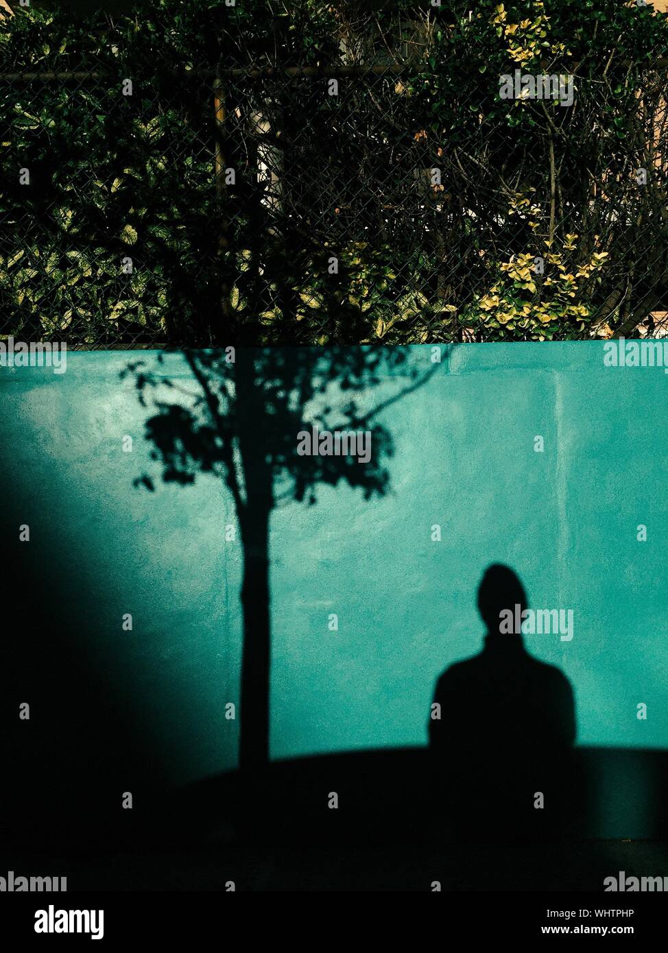 Blue night shadow hi-res stock photography and images - Alamy