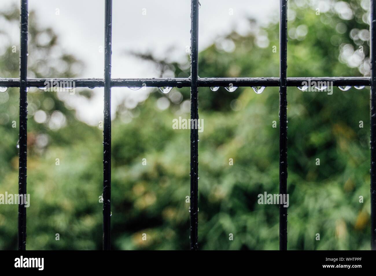 Dripping Water Rain Window High Resolution Stock Photography and Images ...