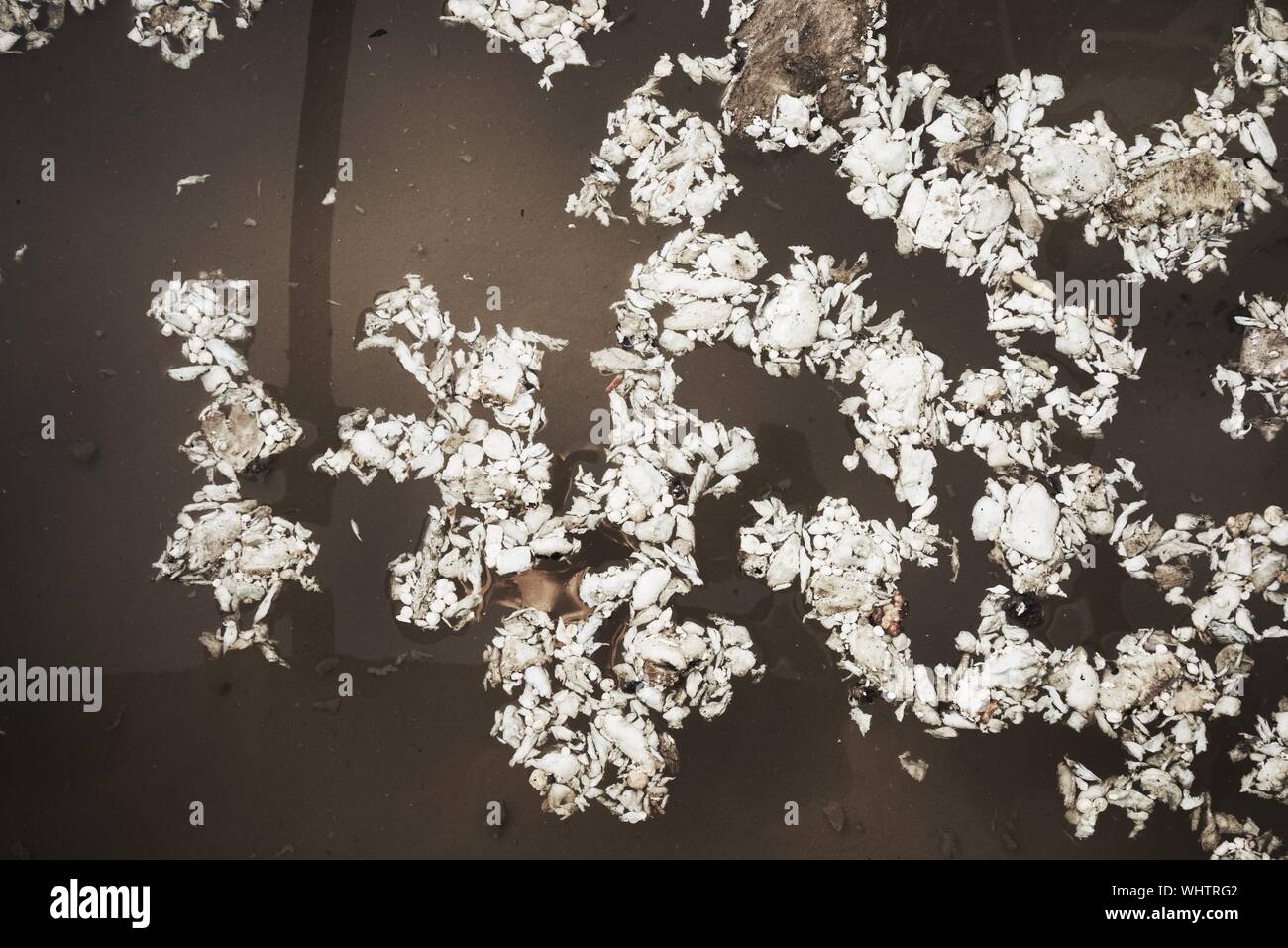 Floating Garbage High Resolution Stock Photography and Images - Alamy