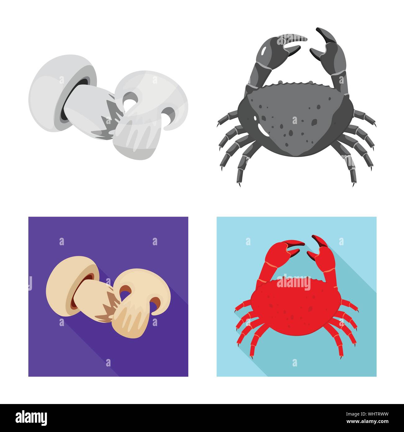 Vector Vectors Stock Vector Image & Art - Alamy