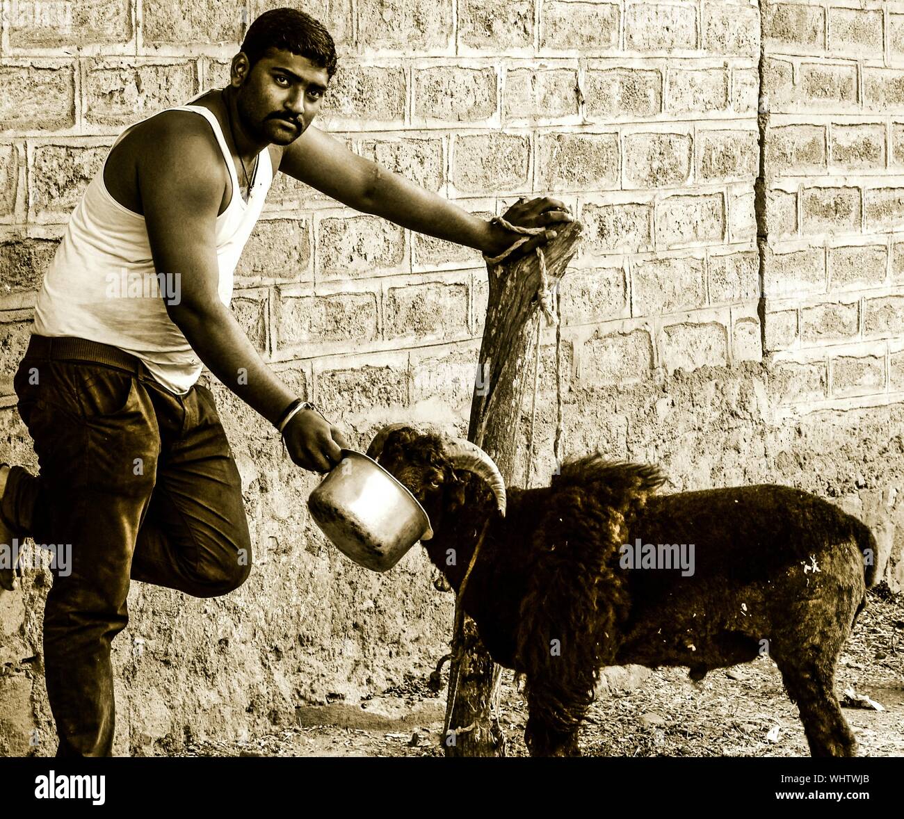 Man with goat hi-res stock photography and images - Alamy