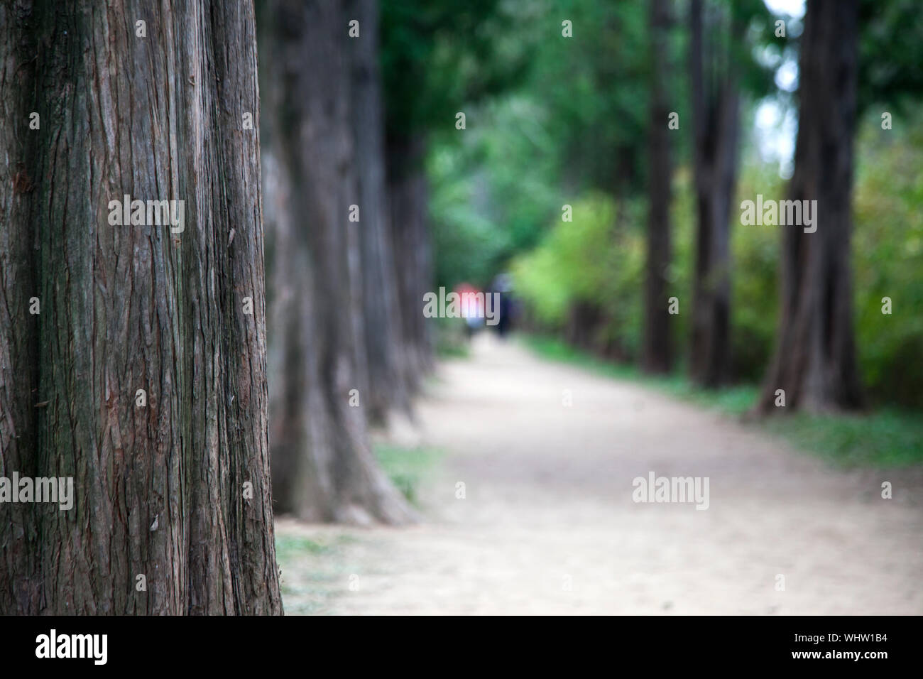 Rough pathway hi-res stock photography and images - Alamy