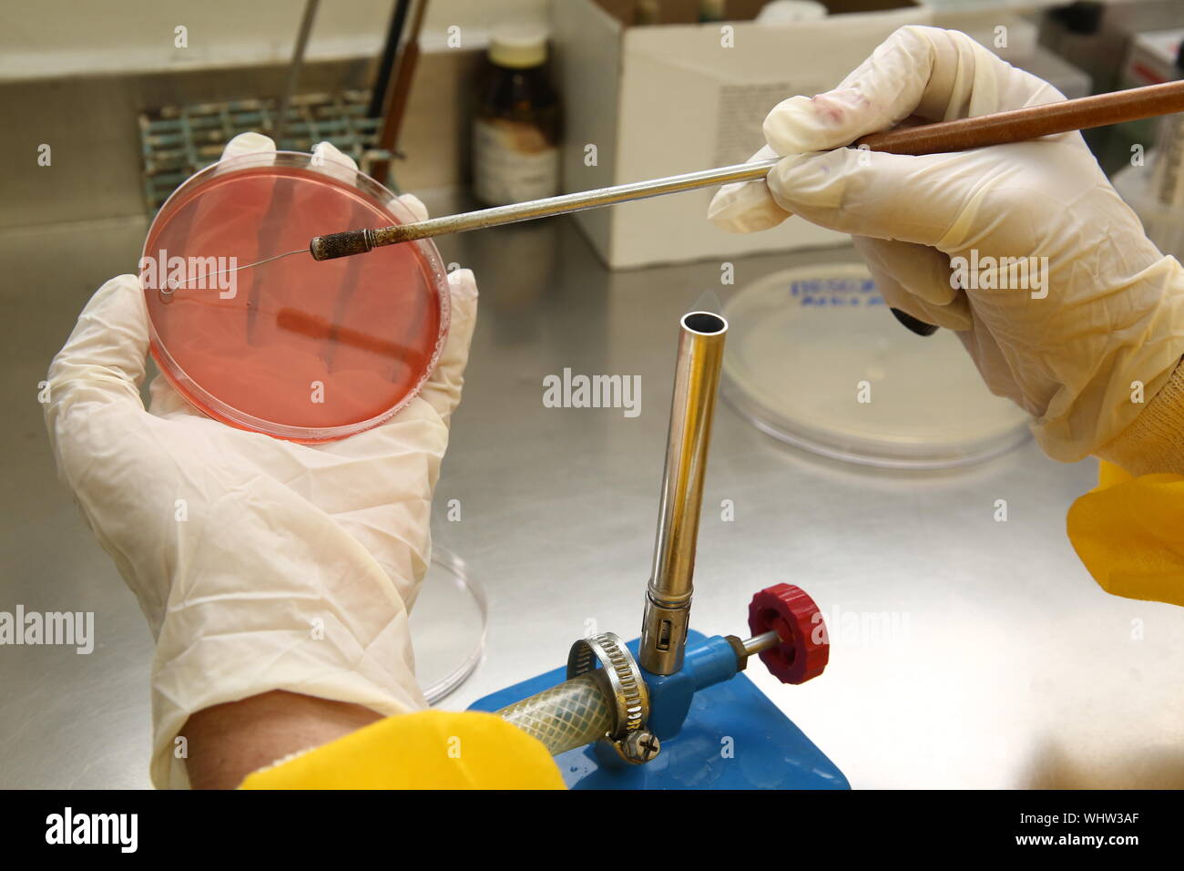 Scientific experiment hi-res stock photography and images - Alamy