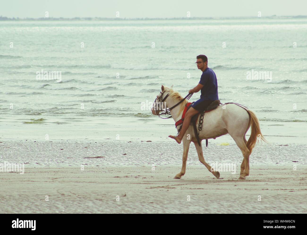 Man horseback riding hi-res stock photography and images - Alamy