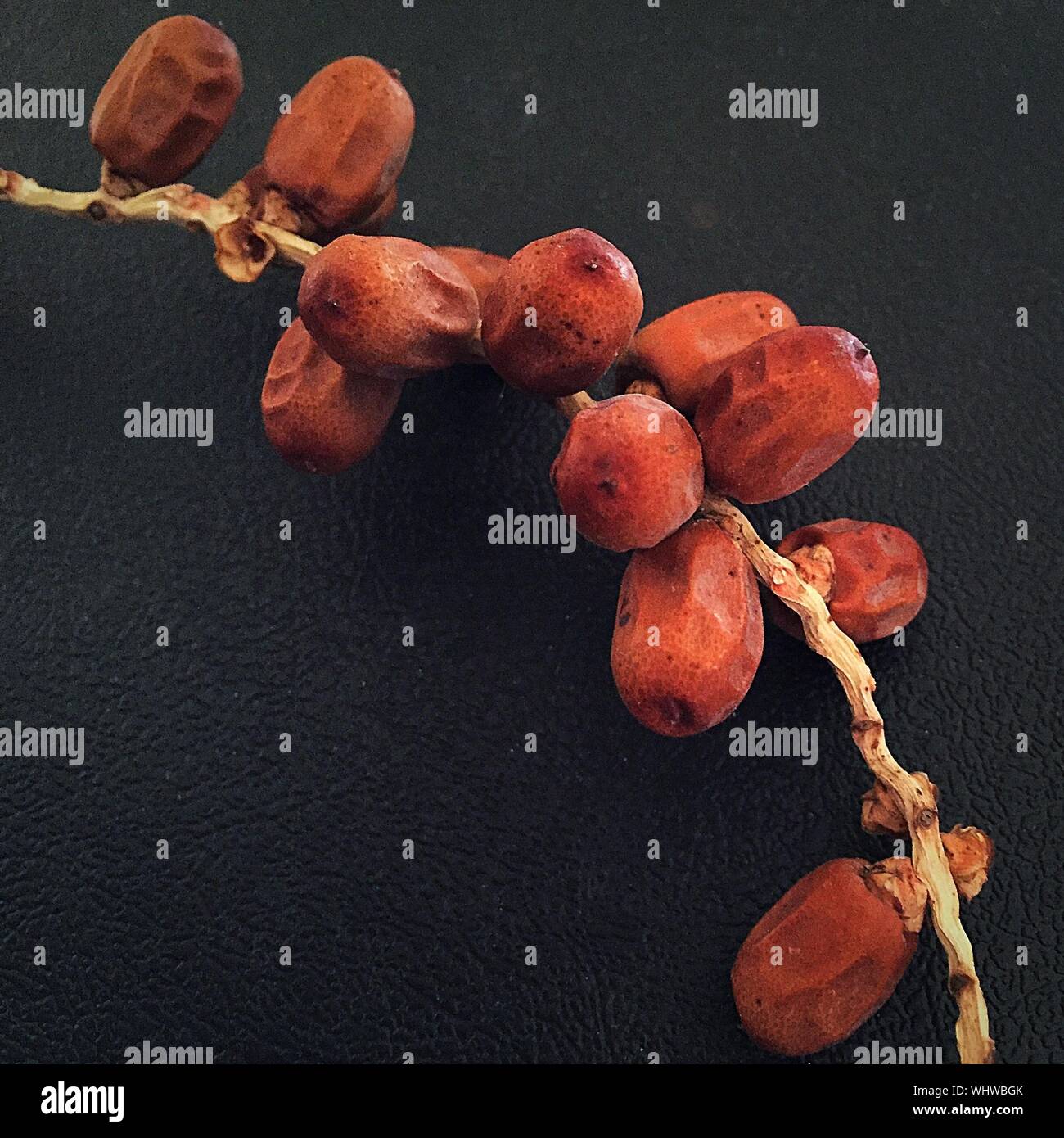 Palm Seeds High Resolution Stock Photography and Images - Alamy