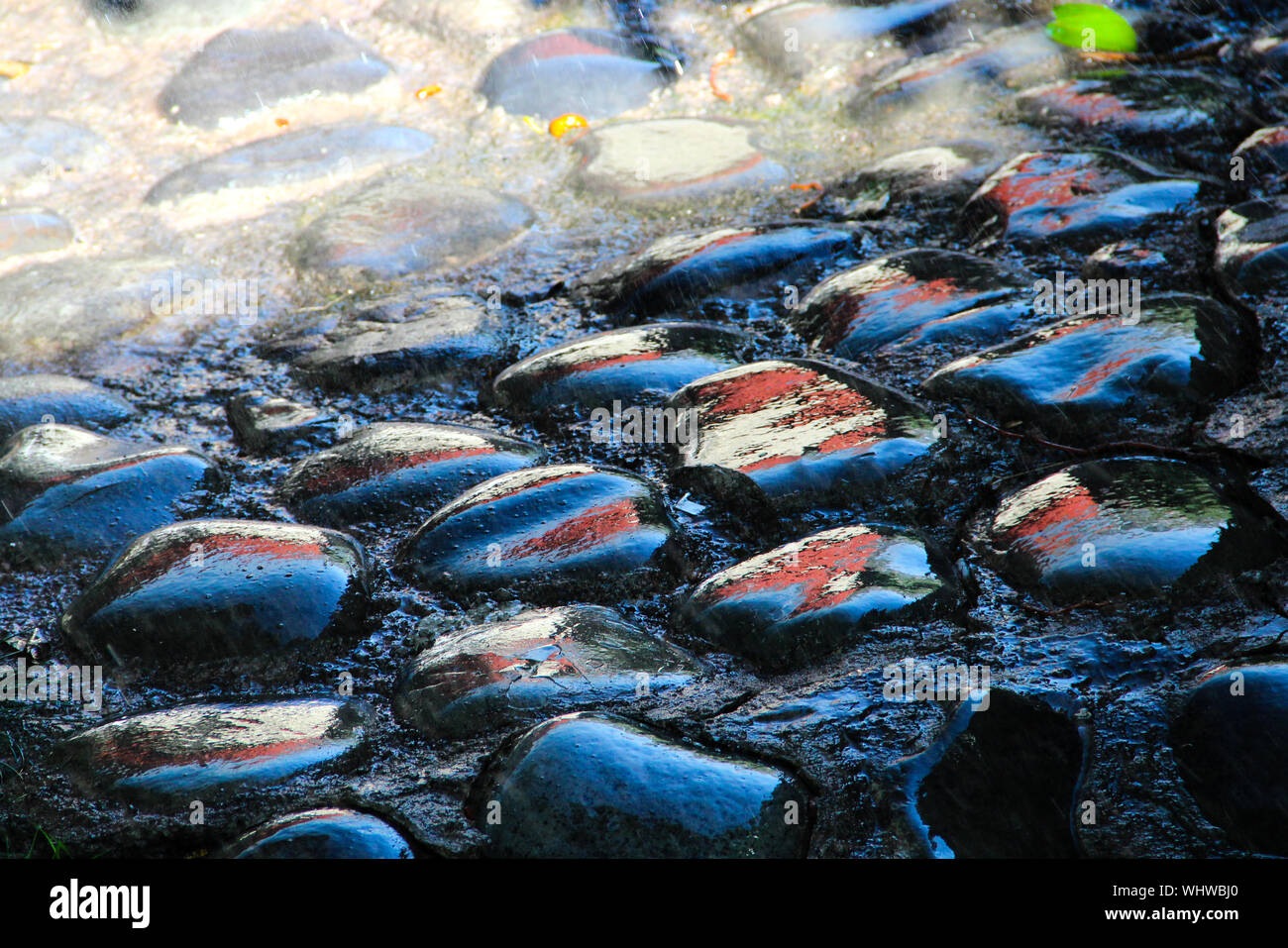 Pebbled ground hi-res stock photography and images - Alamy