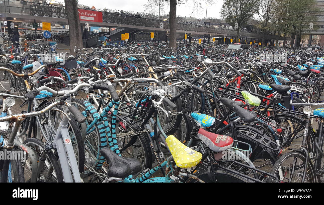 Large group bicycles hi-res stock photography and images - Alamy