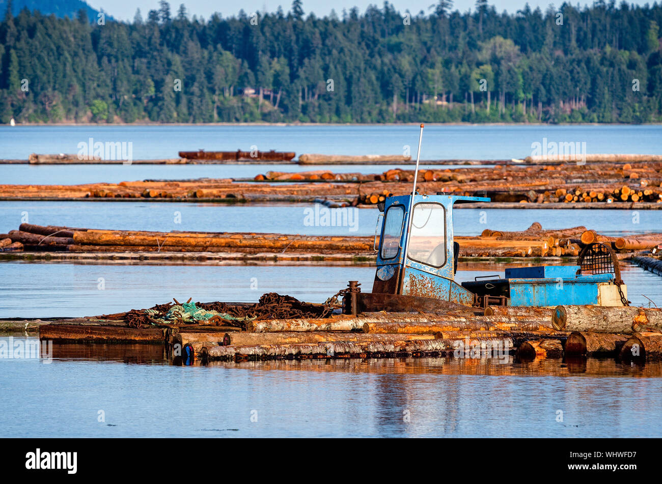 Wood logs floating on water hi-res stock photography and images - Alamy