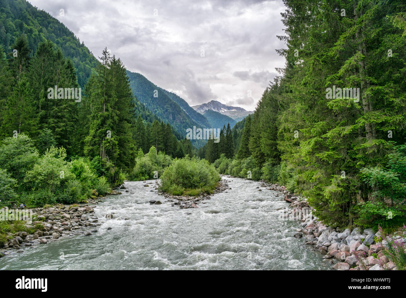 Stream pine trees hi-res stock photography and images - Alamy