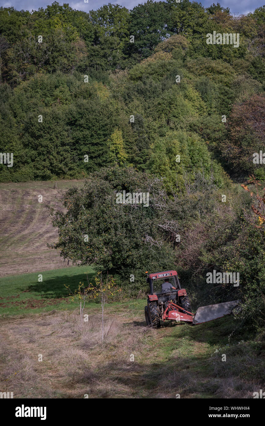 Farmer fertilizing a field in Baran Stock Photo - Alamy