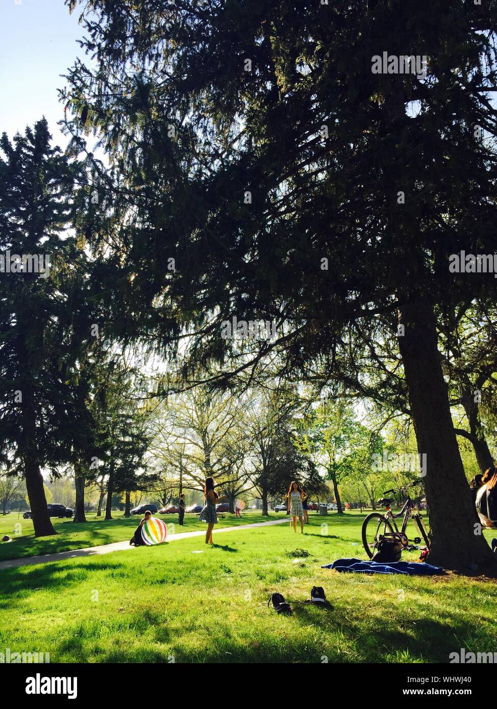 Under tree picnic hi-res stock photography and images - Alamy
