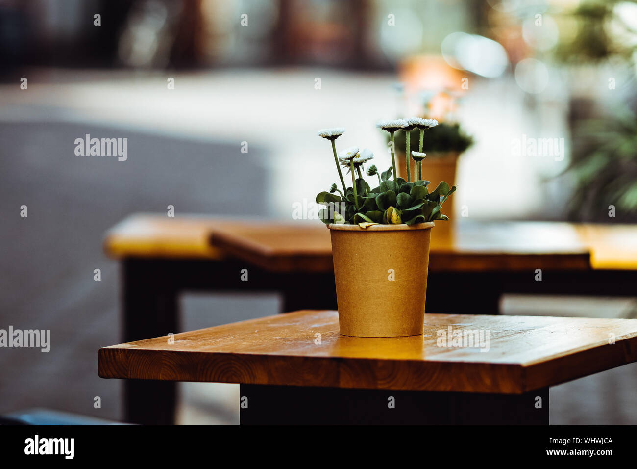 Wooden cafe tables hi-res stock photography and images - Alamy