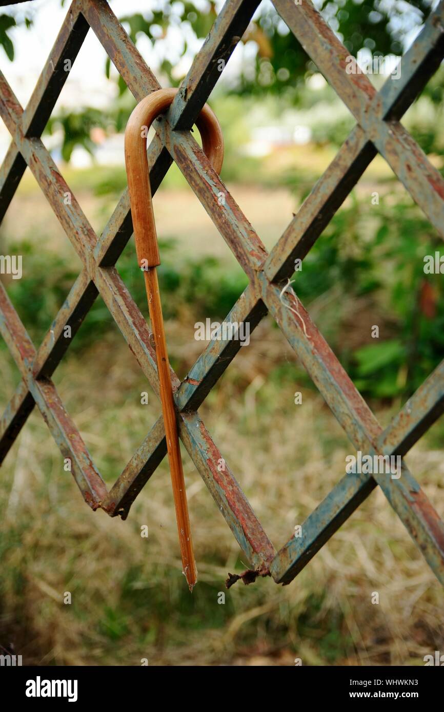 Safety Stick High Resolution Stock Photography and Images - Alamy