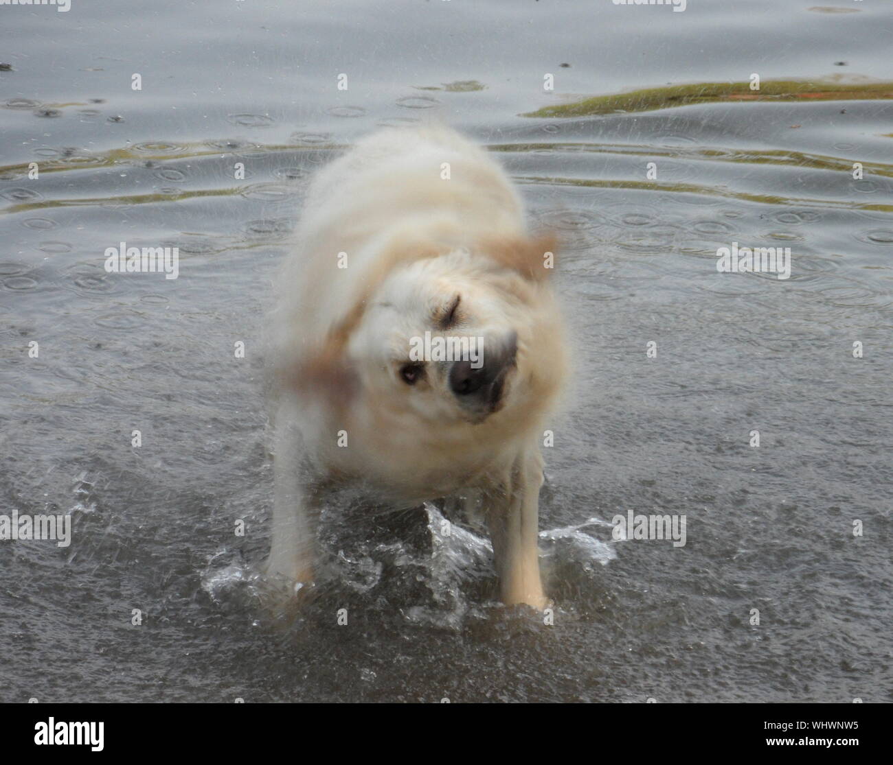 Wet drying hi-res stock photography and images - Alamy
