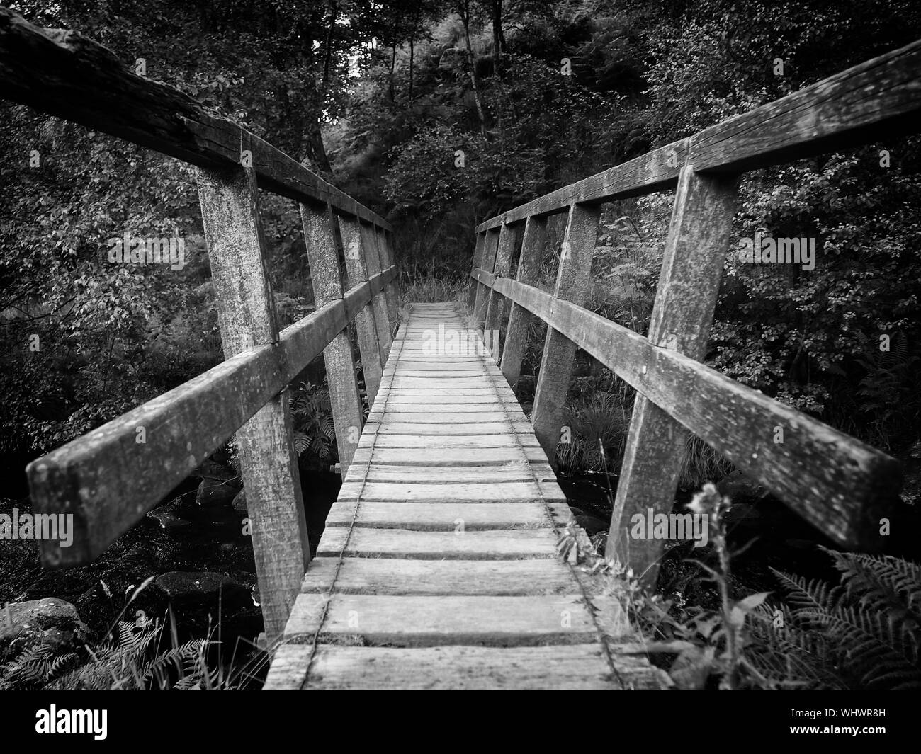 Old wooden railroad bridge hi-res stock photography and images - Alamy
