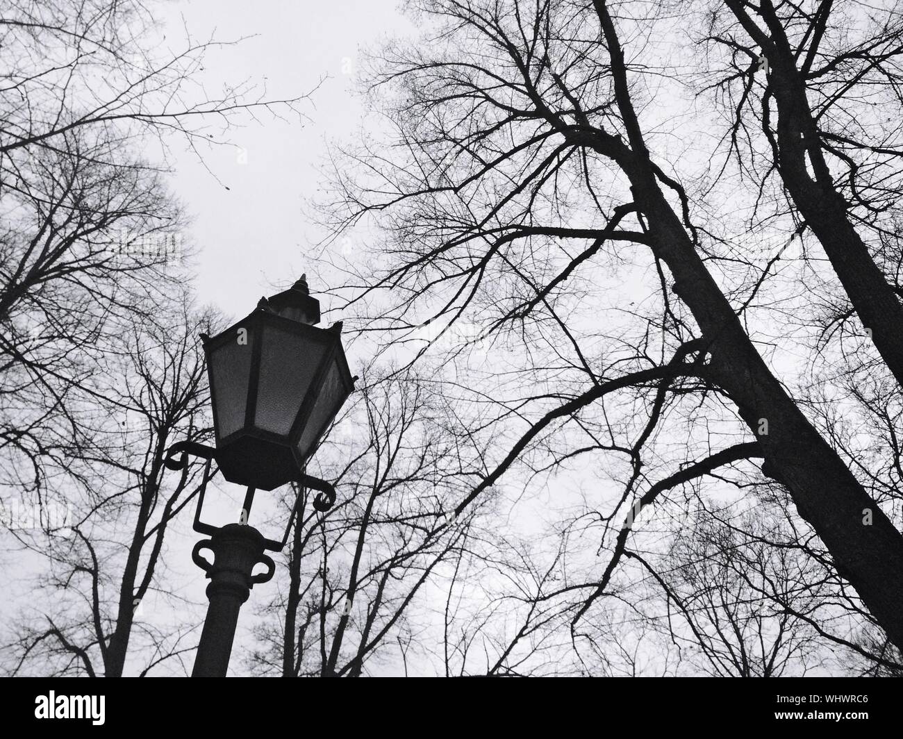 Lamp Post Silhouette High Resolution Stock Photography and Images - Alamy
