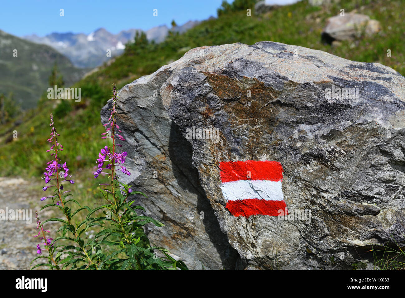 Alpine hiking trail in Austria, marked with painted Austrian flag on ...